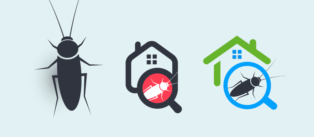 Reliable Pest Control Services - Get Rid of Unwanted Pests